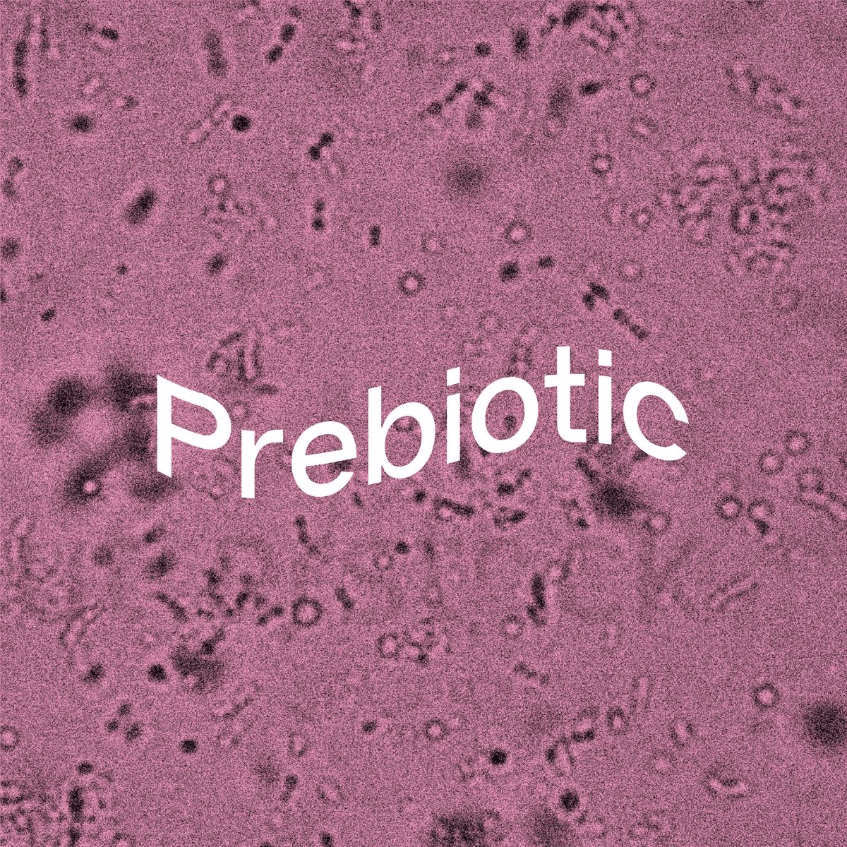 Prebiotic vs Probiotic – Geez Louise Beverages